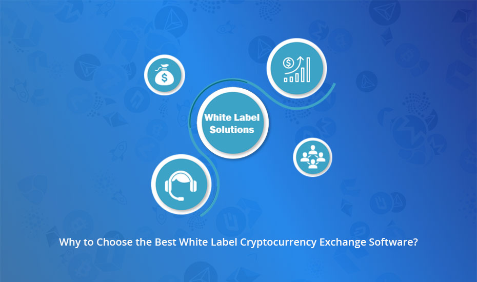 Why a Crypto White Label is Easier than Starting your Own?