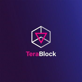 TeraBlock Secures $2.4 Million To Build A Newbie-Friendly Crypto ...