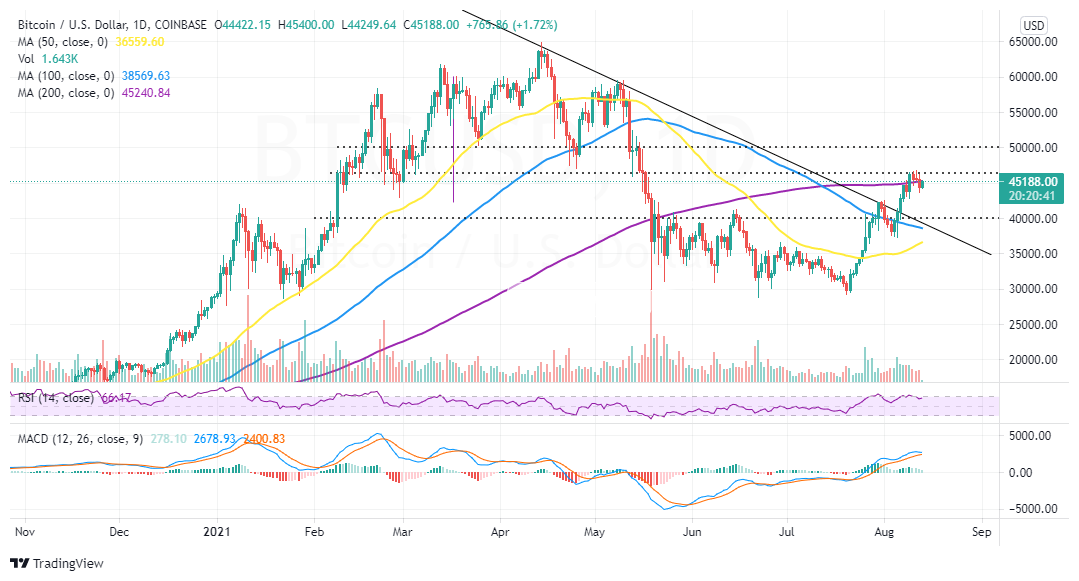 Bitcoin Price Prediction: BTC Rally Patiently Waits For This Highly ...