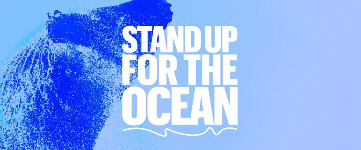 The SOS Foundation To Partner with Project Zero to Restore the Ocean.