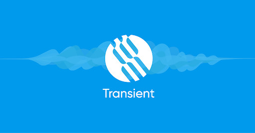 Transient Raises $1.2 Million in IDO Public Sale to Build the Amazon of ...