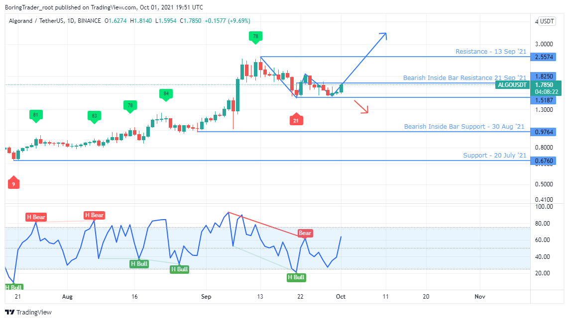 ALGO Price Analysis: Bulls Gearing Up For A Rally to New ATH