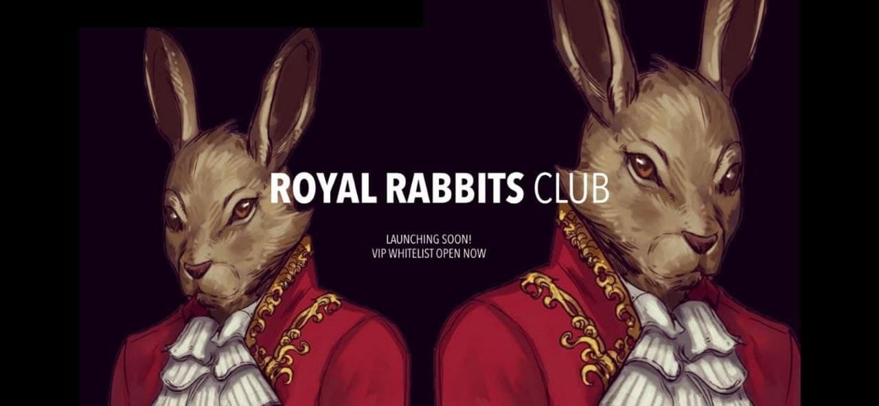 The Royal Rabbits Club Announces Launch Date with VIP whitelist Already ...
