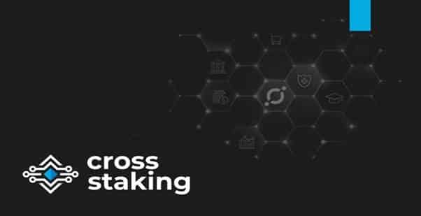 Cross Staking Attracted The Attention Of Large Investors