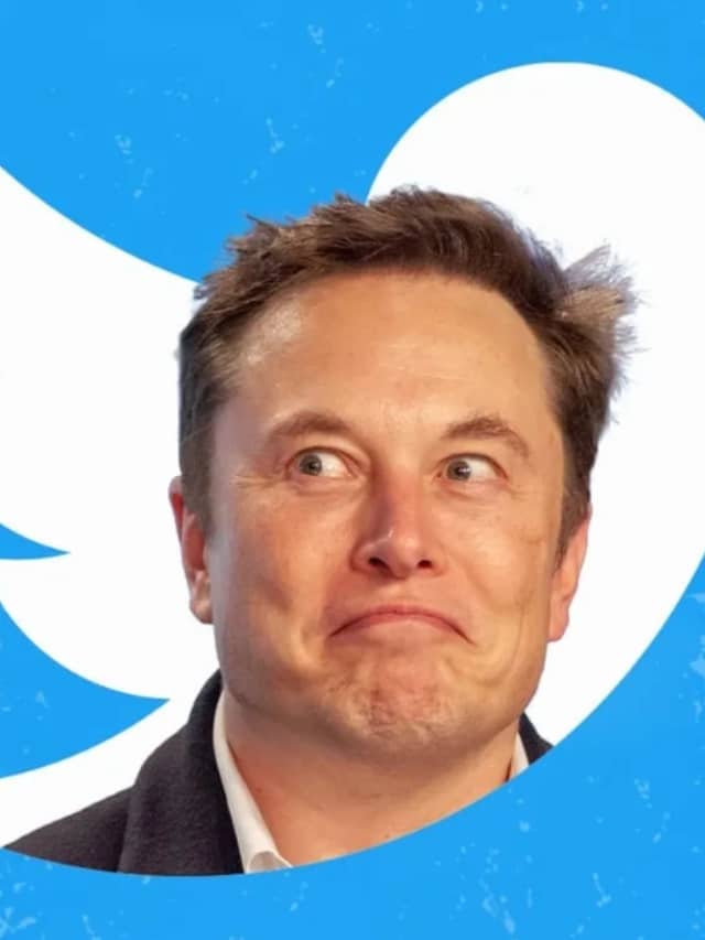 Did Elon Musk Fire Twitter Exec For Objecting To His Joke?