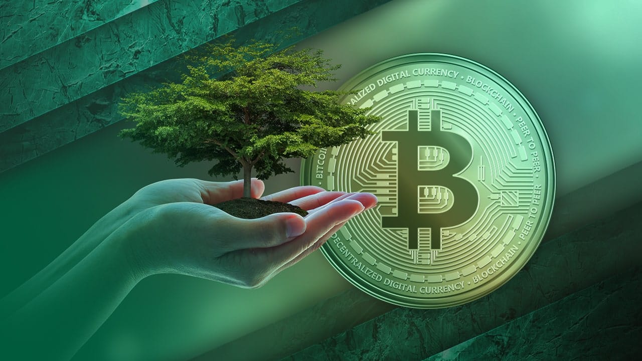 PEGA Pool’s Launch Is Imminent And Here’s Everything