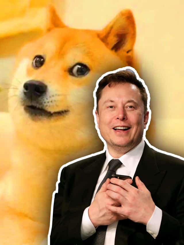 Elon Musk Talks About DOGE With Fox News Chief At Super Bowl