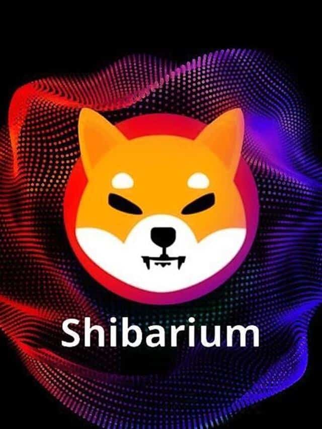 Hundreds Of Companies Interested In Integrating Shibarium