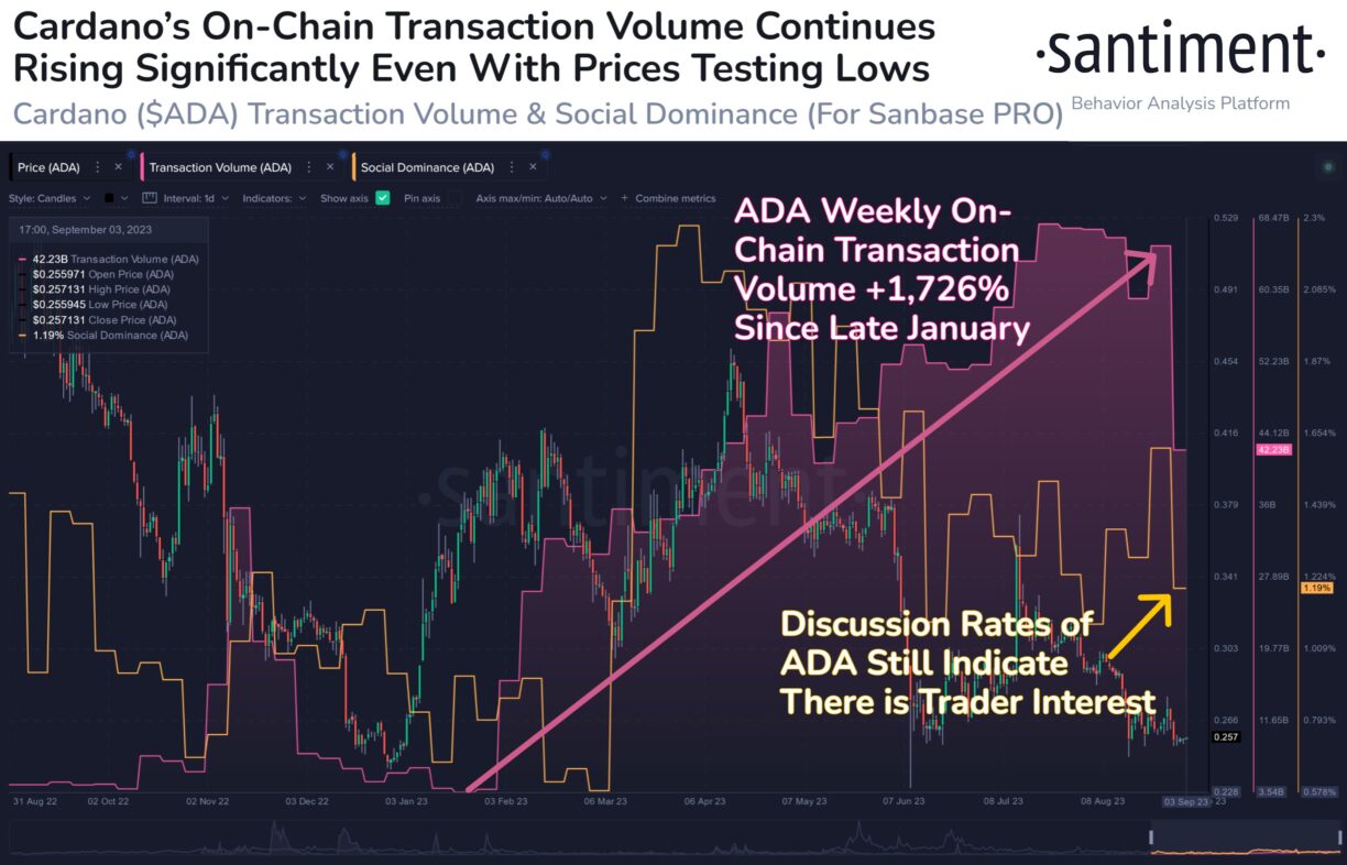Cardano Strong Transaction Volumes Hints ADA Price Surge