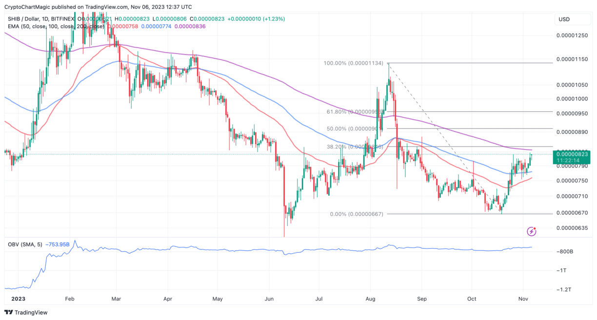 Shiba Inu Coin Price Prediction: Why SHIB Is Set For A Massive Rally This Week - Nation Online