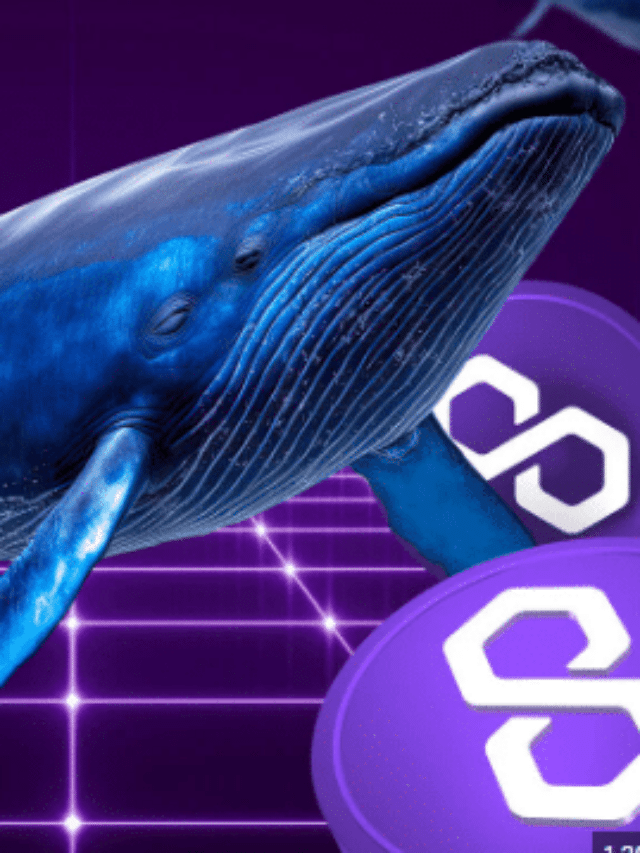 MATIC Whales Signal Price Surge Amid Crypto Market Uptrend