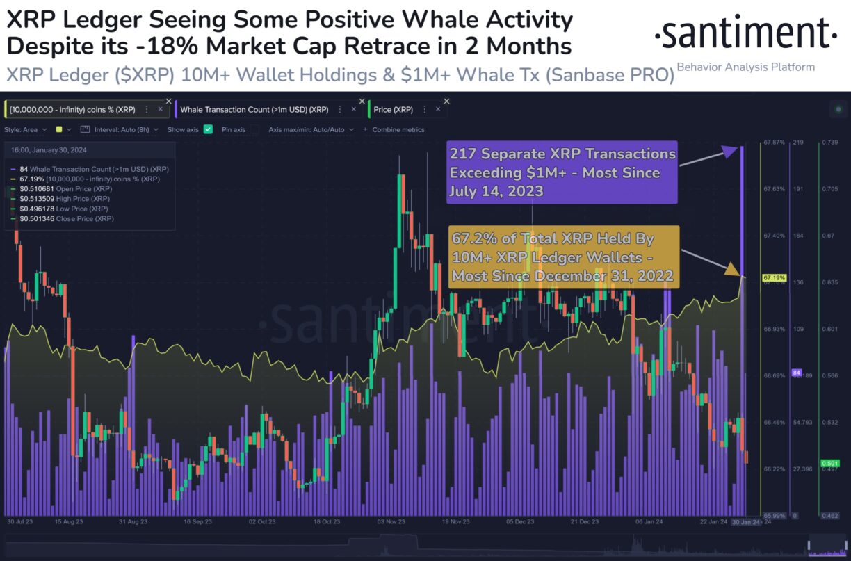 XRP Price To Surge Soon Amid Strong Whale Holdings Despite Ripple Hack