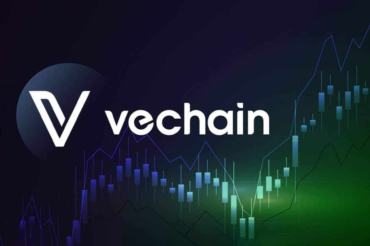 Wallets Within NEAR Ecosystem: MyNearWallet Vs Sender