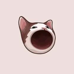 Top 5 Cat-Themed Meme Coins