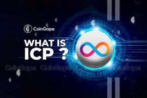 Internet Computer Protocol : What is ICP? How Does It Work? | CoinGape