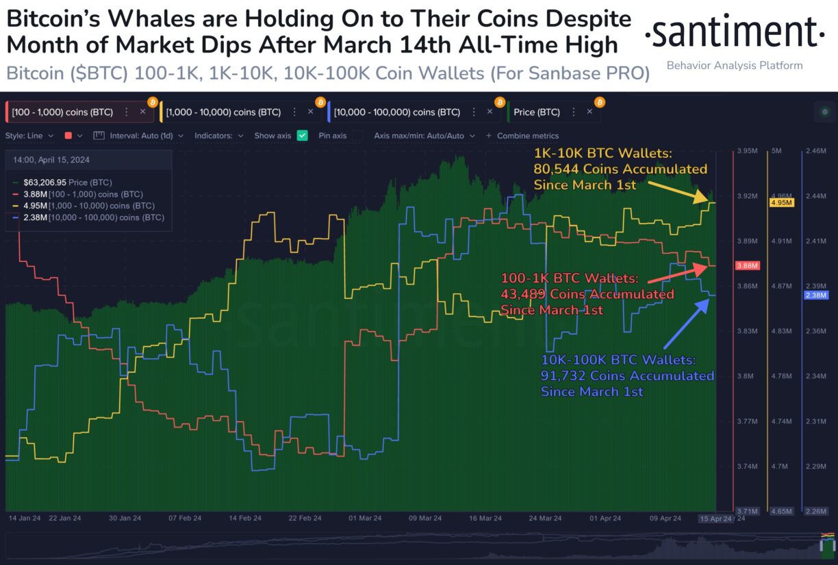 BTC Price: Bitcoin Whale Accumulation Continues Despite BTC Price Volatility