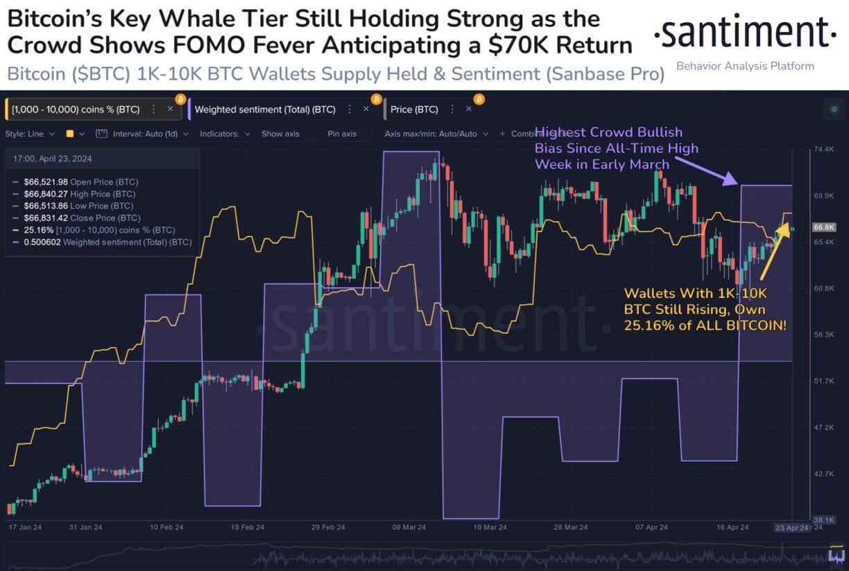 Bitcoin (BTC) Ownership Landscape Sees Major Shift, New Whales Accumulate
