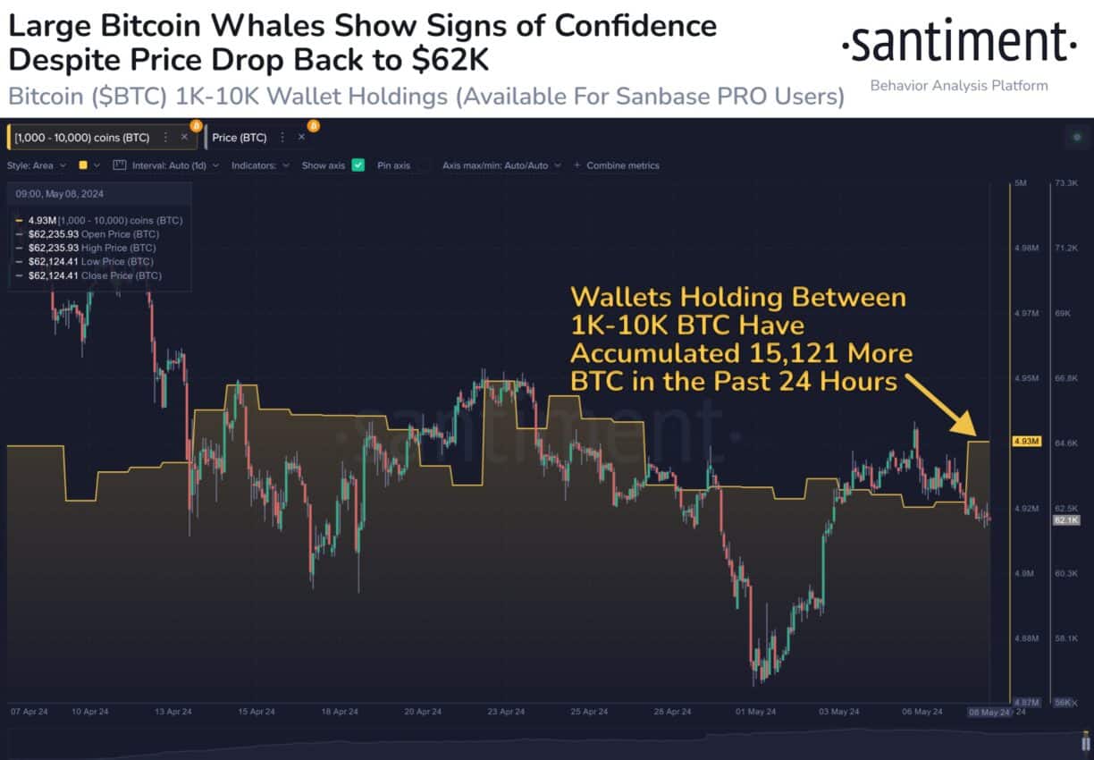 Bitcoin and Ethereum Whales Buy Every Price Dip, Relief Rally Soon?