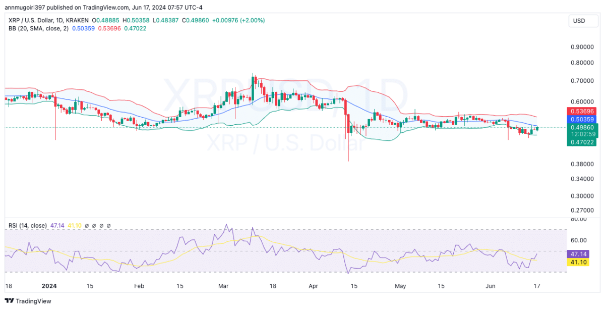 XRP Price Forecast Here s What To Do As XRP Nosedives XRP Price Forecast Here s What To Do As XRP Nosedives