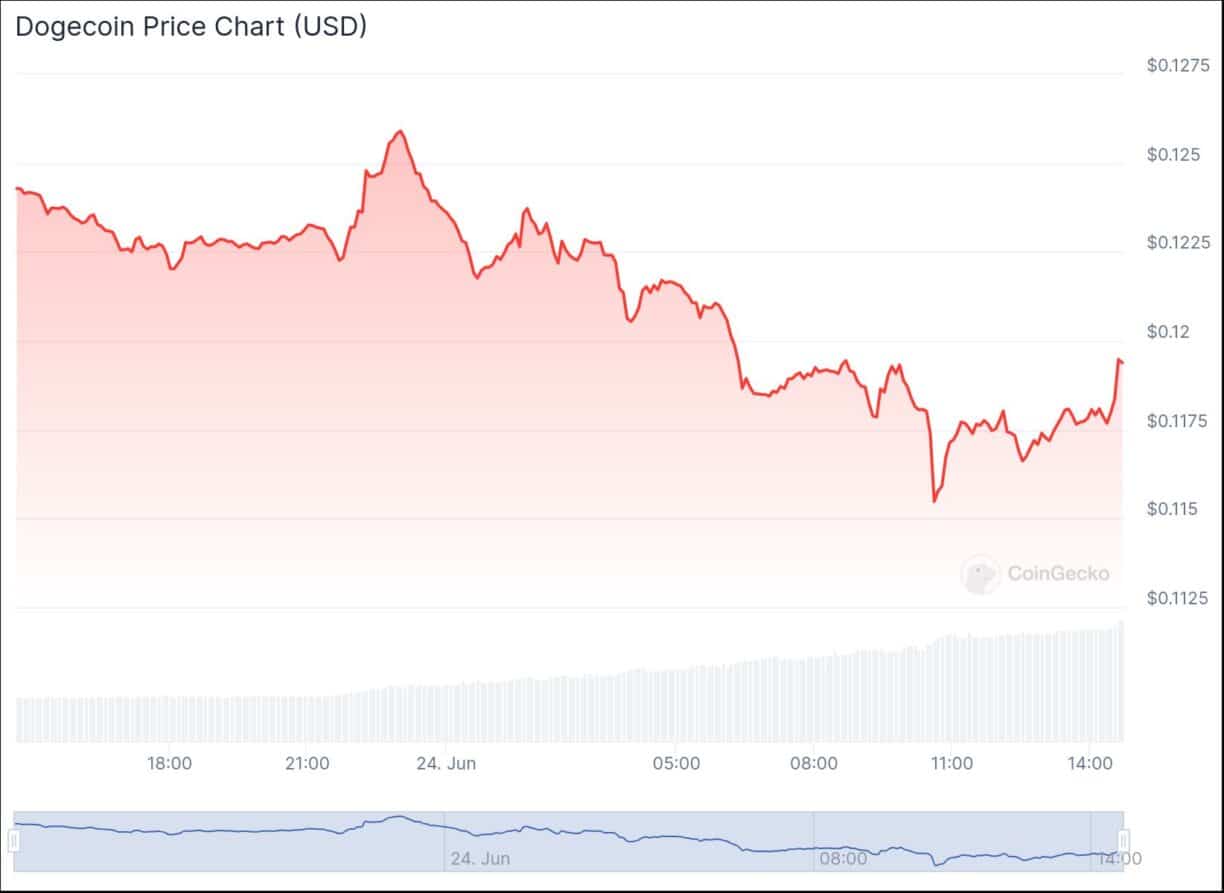 The Meme Coin Freefall: What You Should Know