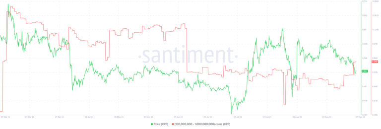 Solana vs XRP: Which Altcoin Will Outperform in Market Correction