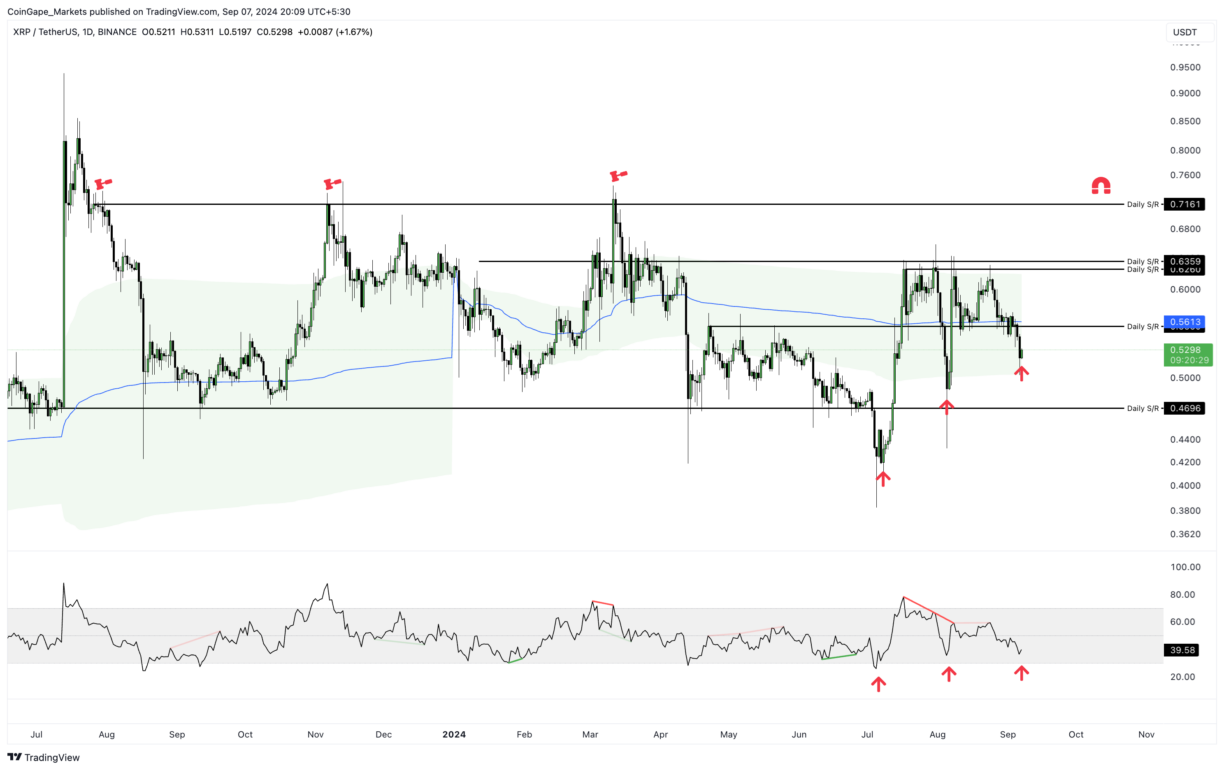 Will XRP Price Bounce Back Stronger After Whale Activity?