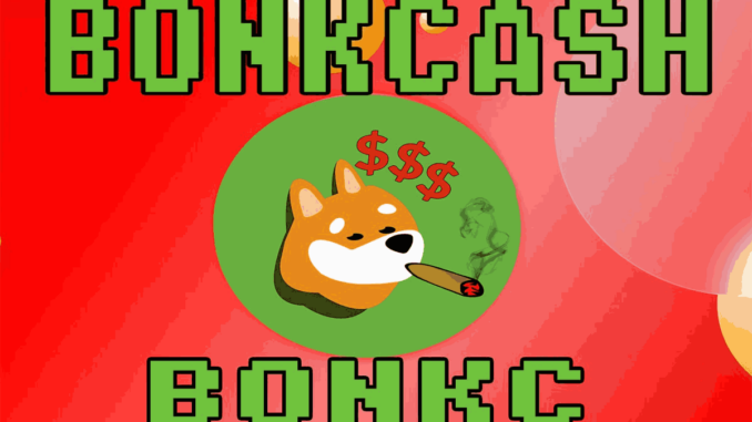 BonkCash.io: Revolutionizing Digital Transactions with Innovative ...