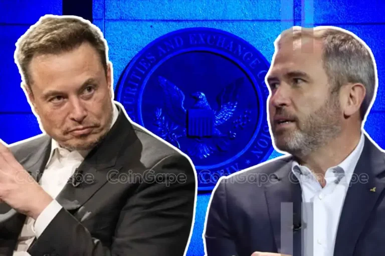 Ripple CEO Brad Garlinghouse Highlights Elon Musk's US SEC Criticism