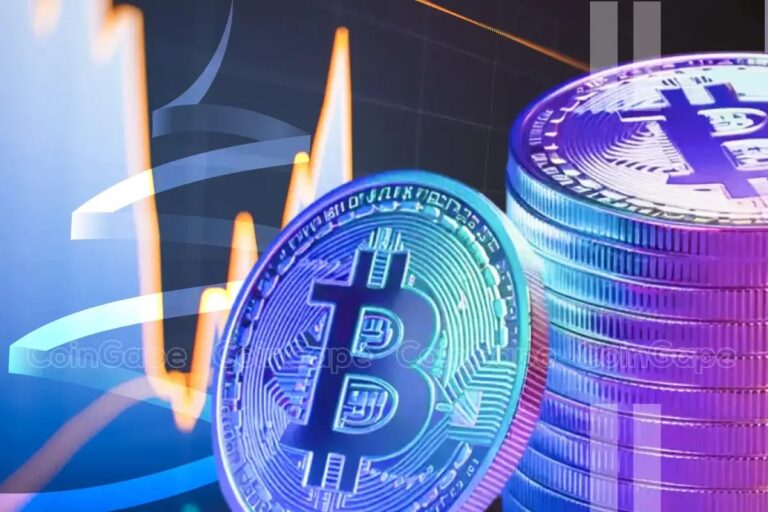 Why Is the Crypto Market Up? Will Bitcoin Price Crash Again?