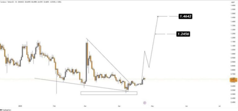 Will Cardano Price Respond With Rally as $20M ADA Leaves Exchanges?