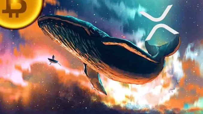 XRPTurbo Launches Liquid Staking on XRPL — Earn Passive Rewards ...