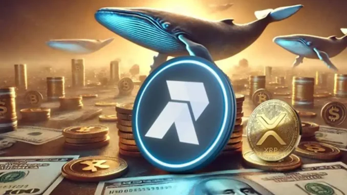 Why RCO Finance Is Gaining Ground Among XRP Whales Looking for More ...