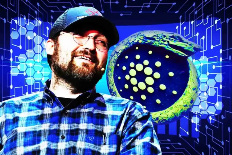 Charles Hoskinson Says Cardano Needs Executive Voice To Lead Bitcoin DeFi Push