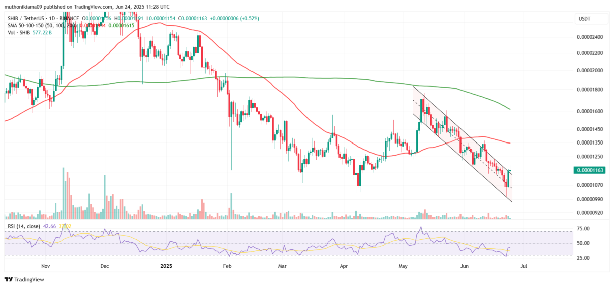 Shiba Inu Price Ends 7-Week Downtrend After Whales Buy 1.6 Trillion SHIB – 40% Hike Ahead?