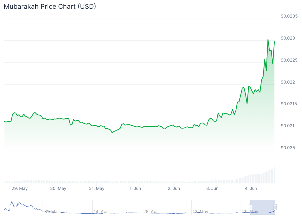Mubarakah Meme Coin Price Skyrockets 105% In A Single Day Ahead Of Eid ...