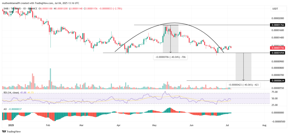 Why Shiba Inu Price Keeps Falling?