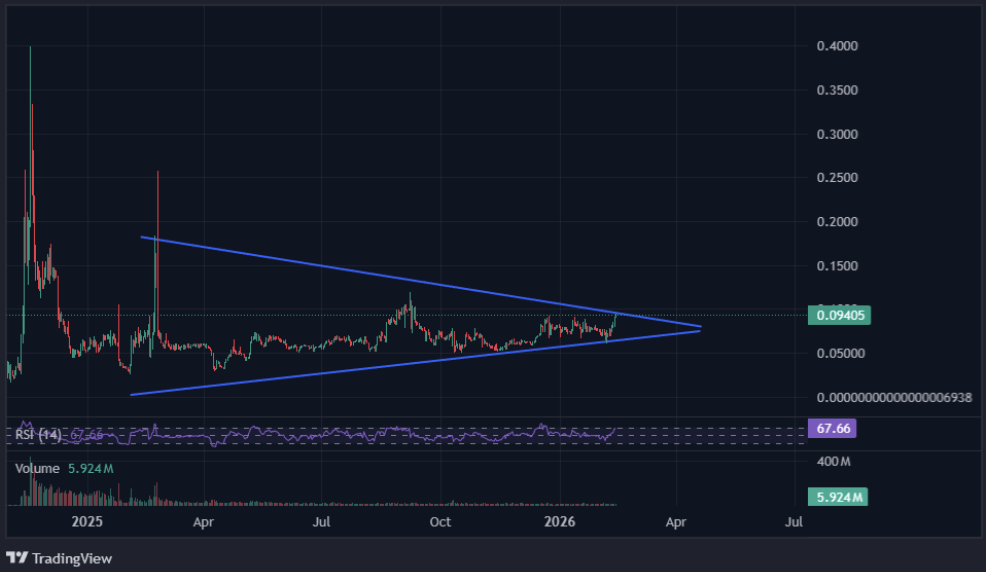 Low Cap Meme Coins Gain Momentum as Crypto Market Bleeds Value